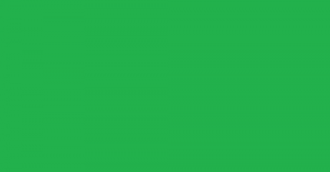 ¿Qué revela tu color favorito sobre tu verdadera personalidad?